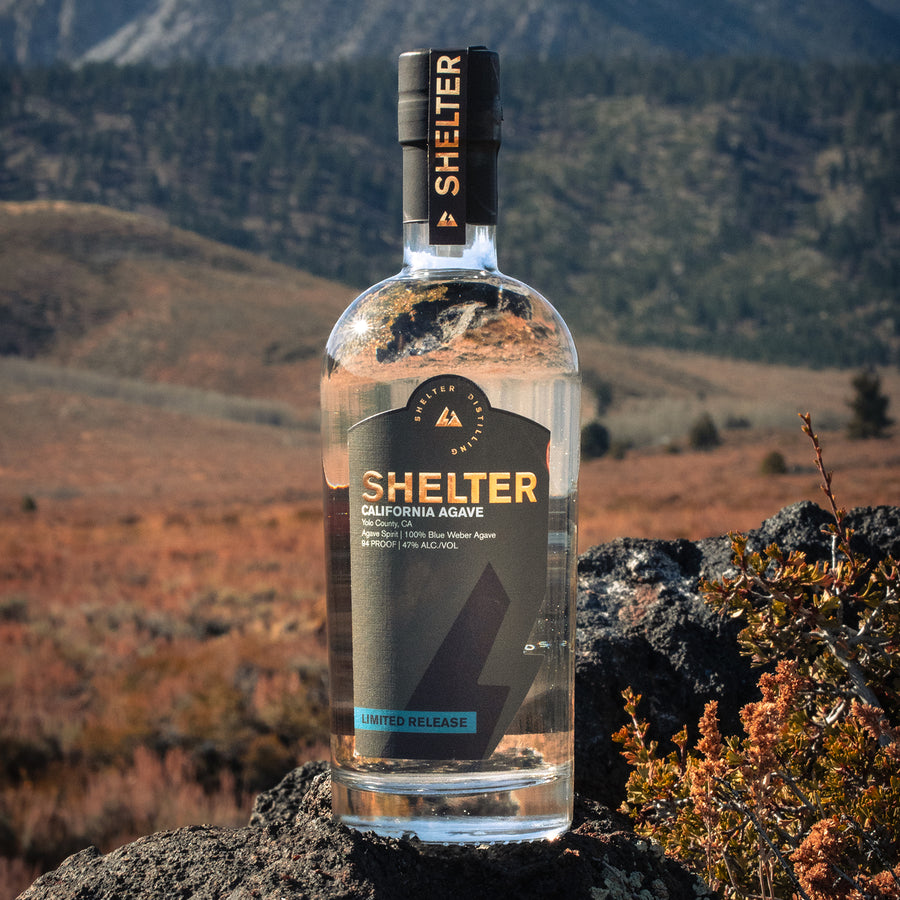 Agave – Shelter Distilling